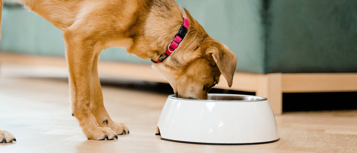 Cool Beams Custom Products